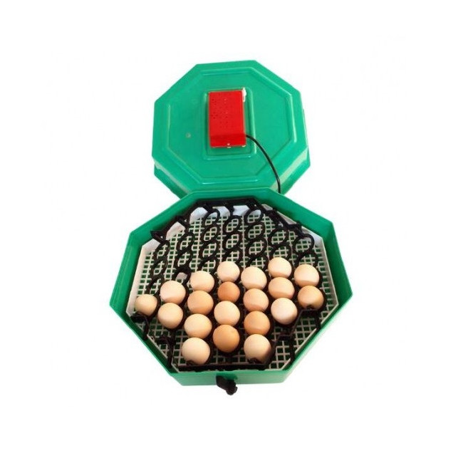 Incubator Electric Cu Cheita Clocitoare 60 Oua Cleo 5, 01830 – IaReduceri